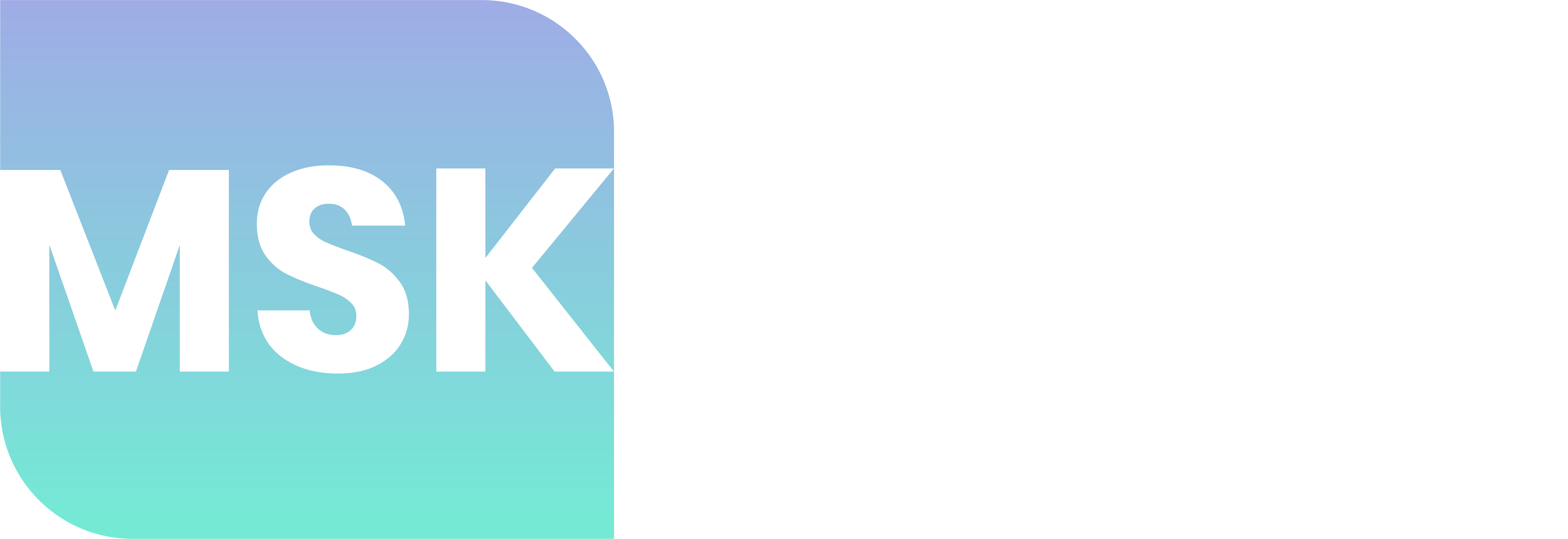 MSK Ads – MSK-Media | Ecommerce & Lead Generation Marketing Agency